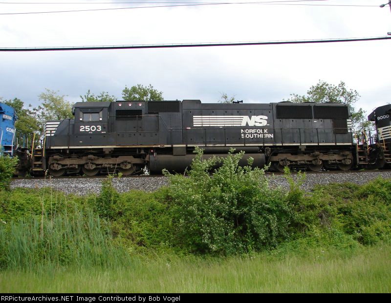 NS 2503